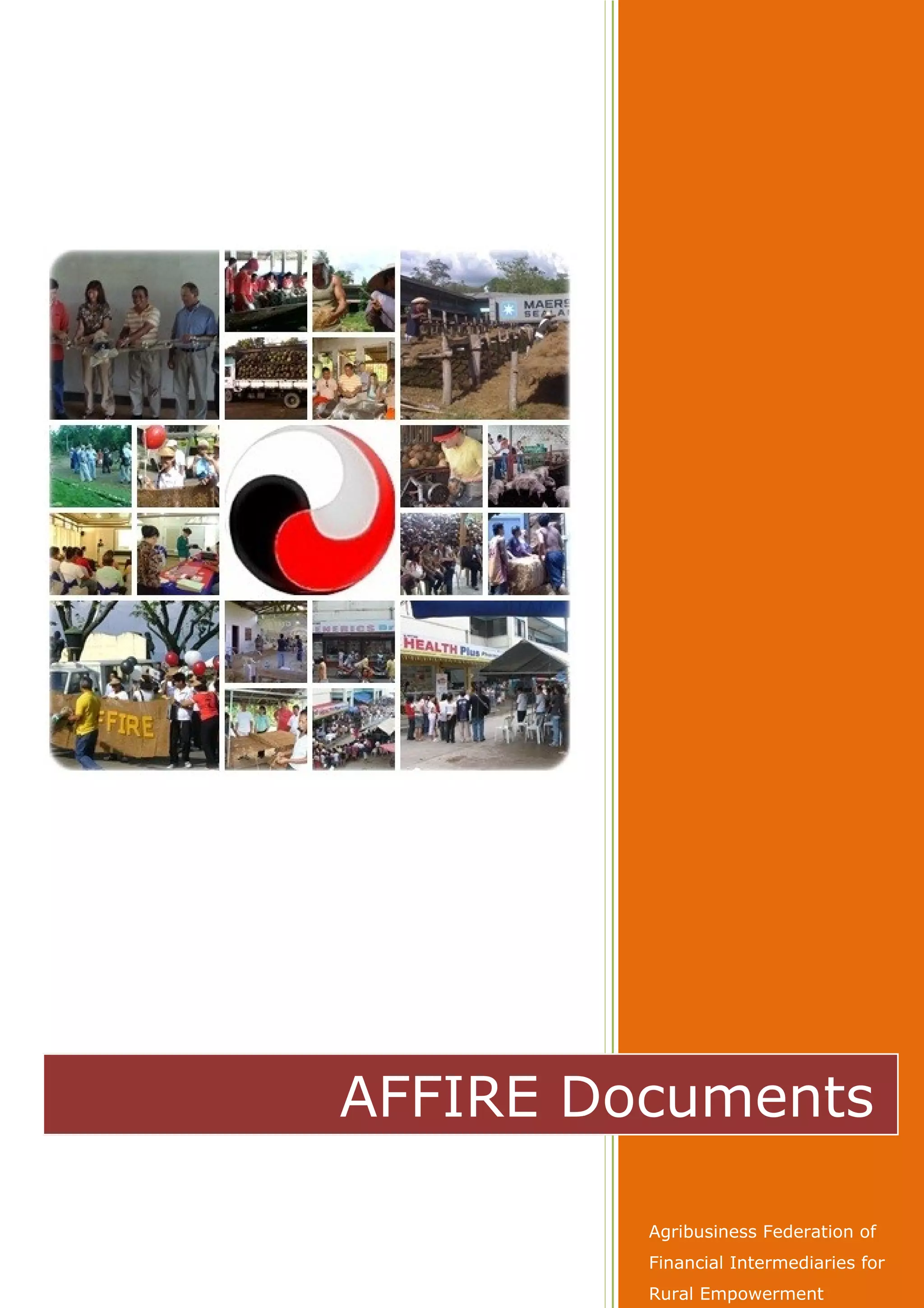 AFFIRE PROFILE 2016 | DOC