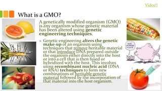 GMO lecture | PPTX