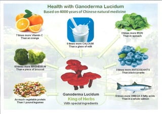 Ganoderma Health Chart | PPT