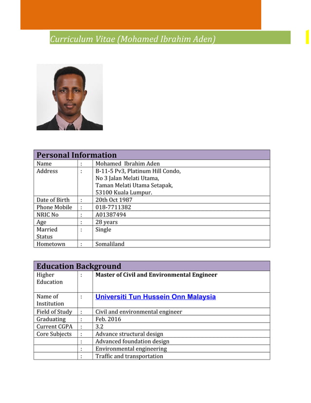 ibrahim cv | PDF | Free Download