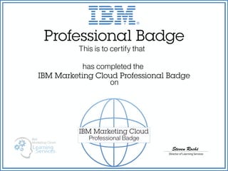 IBM Professional Certificate | PDF | Technology & Computing