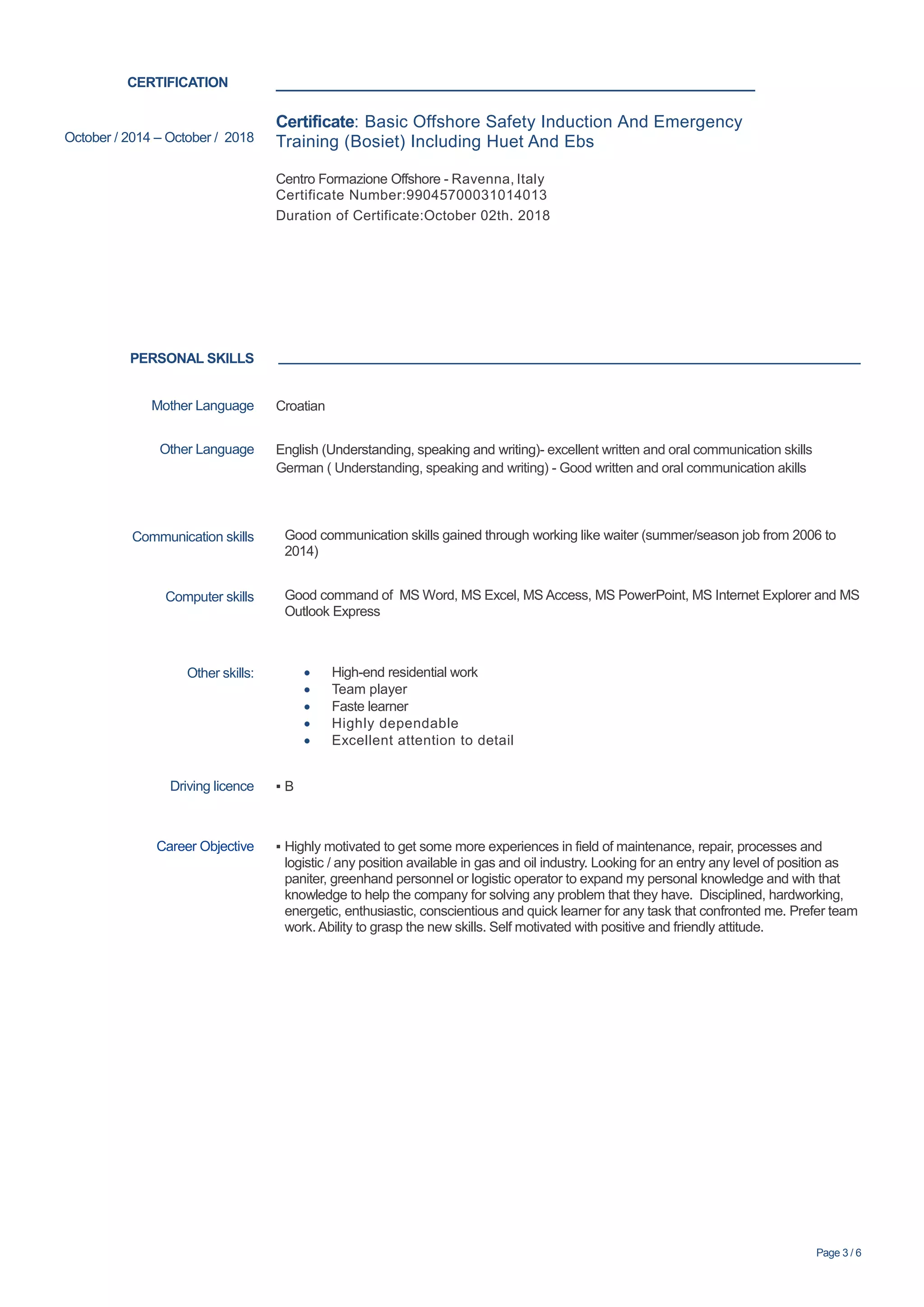 CV_Igor_Vidas | PDF | Woodworking | Arts and Crafts