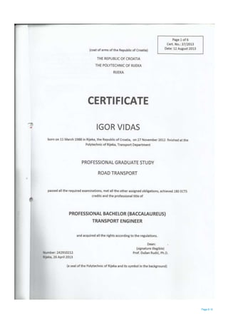 CV_Igor_Vidas | PDF