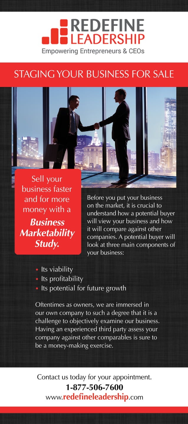 RDL Business Marketablility Rack Card | PDF | Business Banking ...