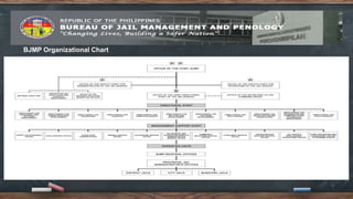 Criminal justice system for law students | PPT