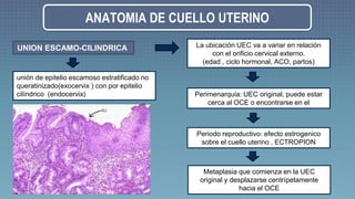Ca. cuello uterino | PDF