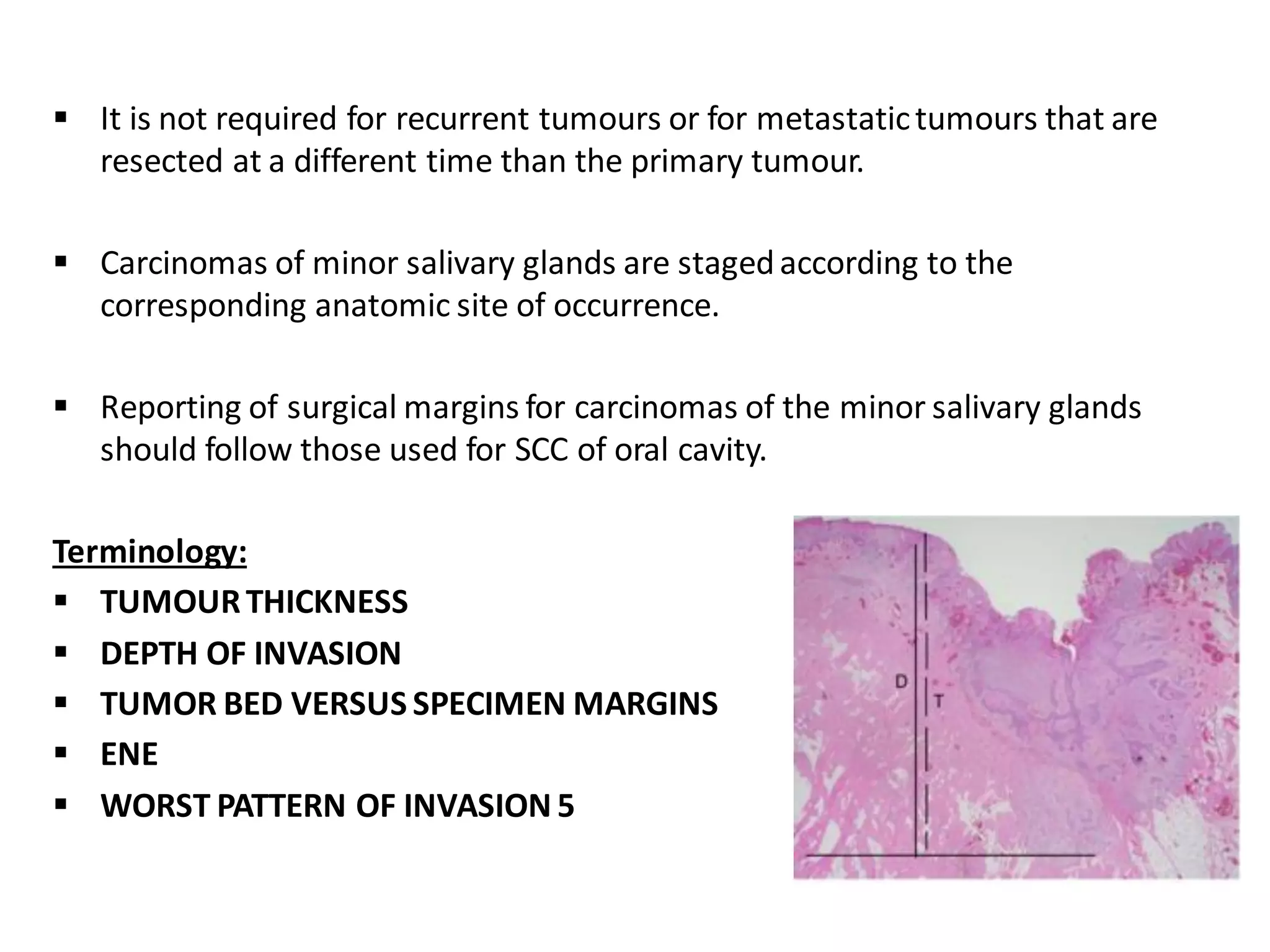 CA.ORAL CAVITY FINAL.pdf