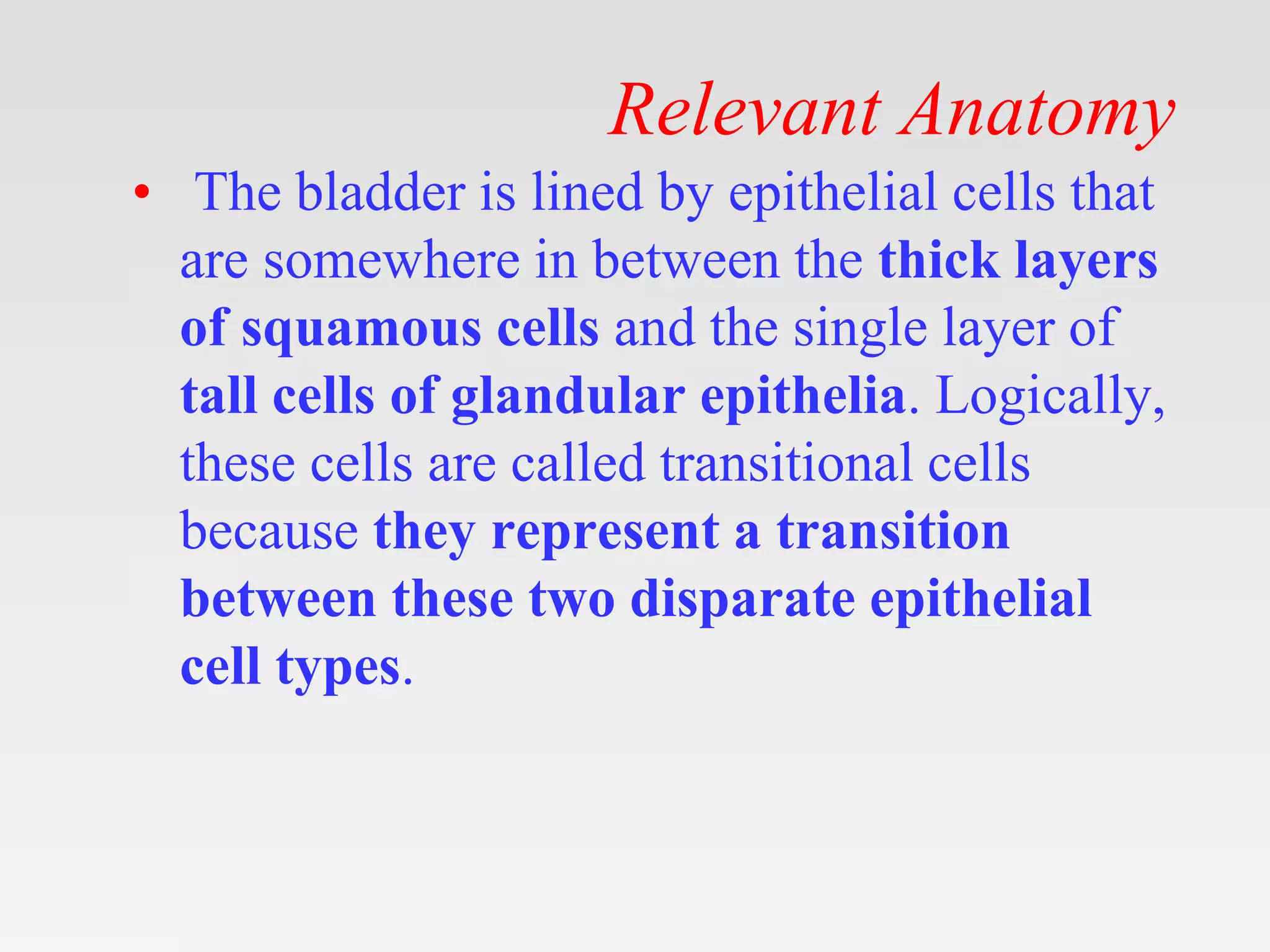 Ca. Bladder.pptx