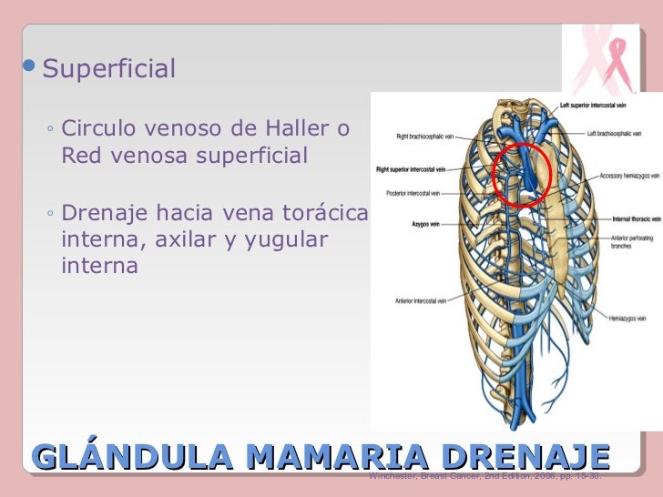 Cancer de mama 1ra parte