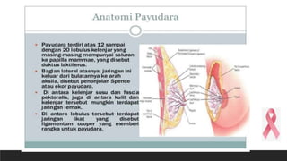 PPT KESEHATAN REPRODUKSI ANKER PAYUDARA 2.pptx
