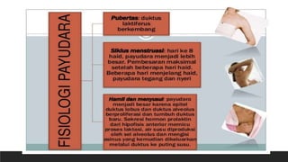 PPT KESEHATAN REPRODUKSI ANKER PAYUDARA 2.pptx
