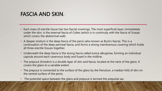 Cancer of PENIS by KUTOSI Joseph.pptx