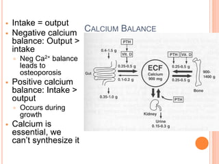 Calcium and Phosphorus metabolism and osteoporosis | PPT