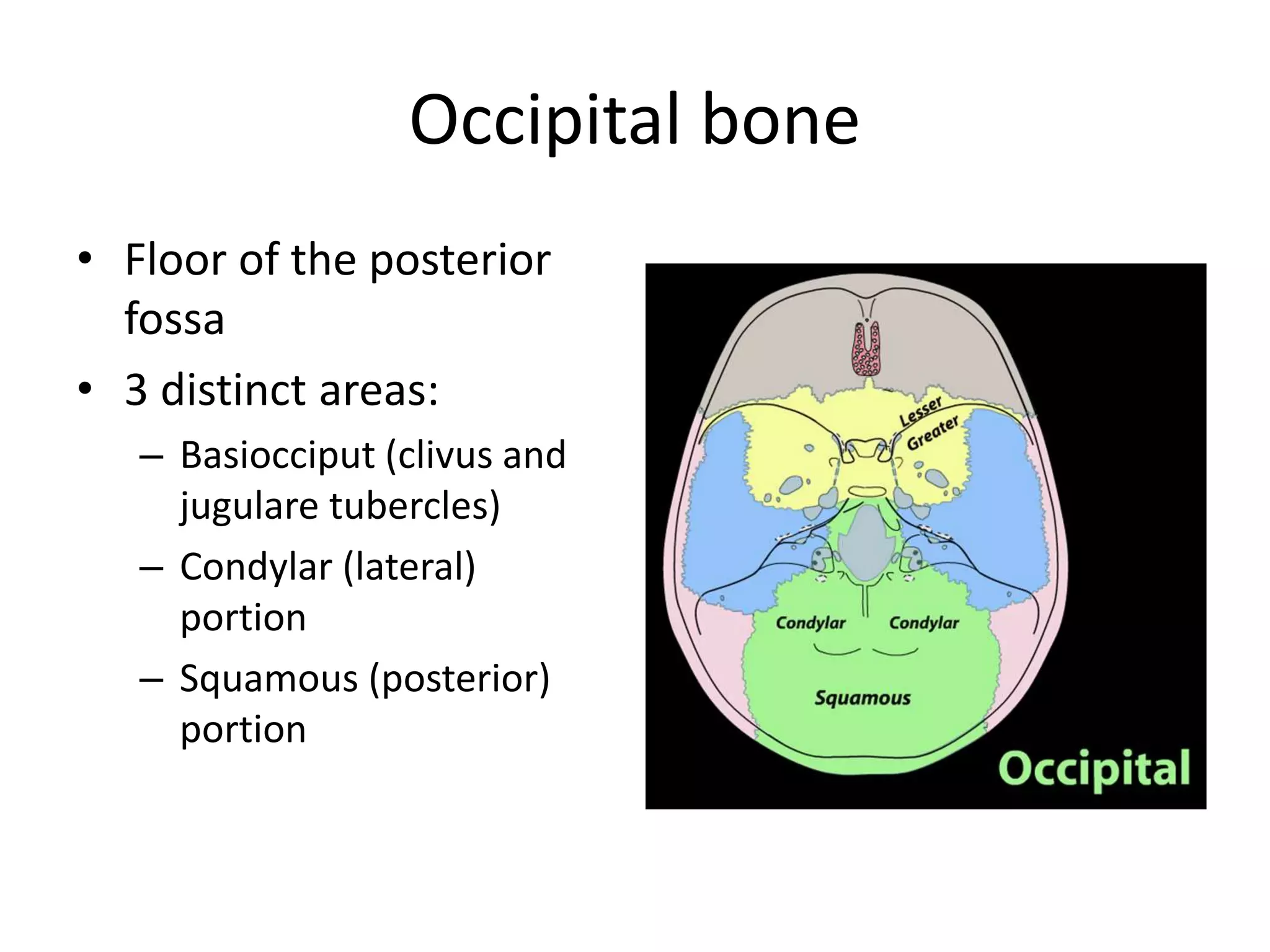Imaging in Skull base | PPTX