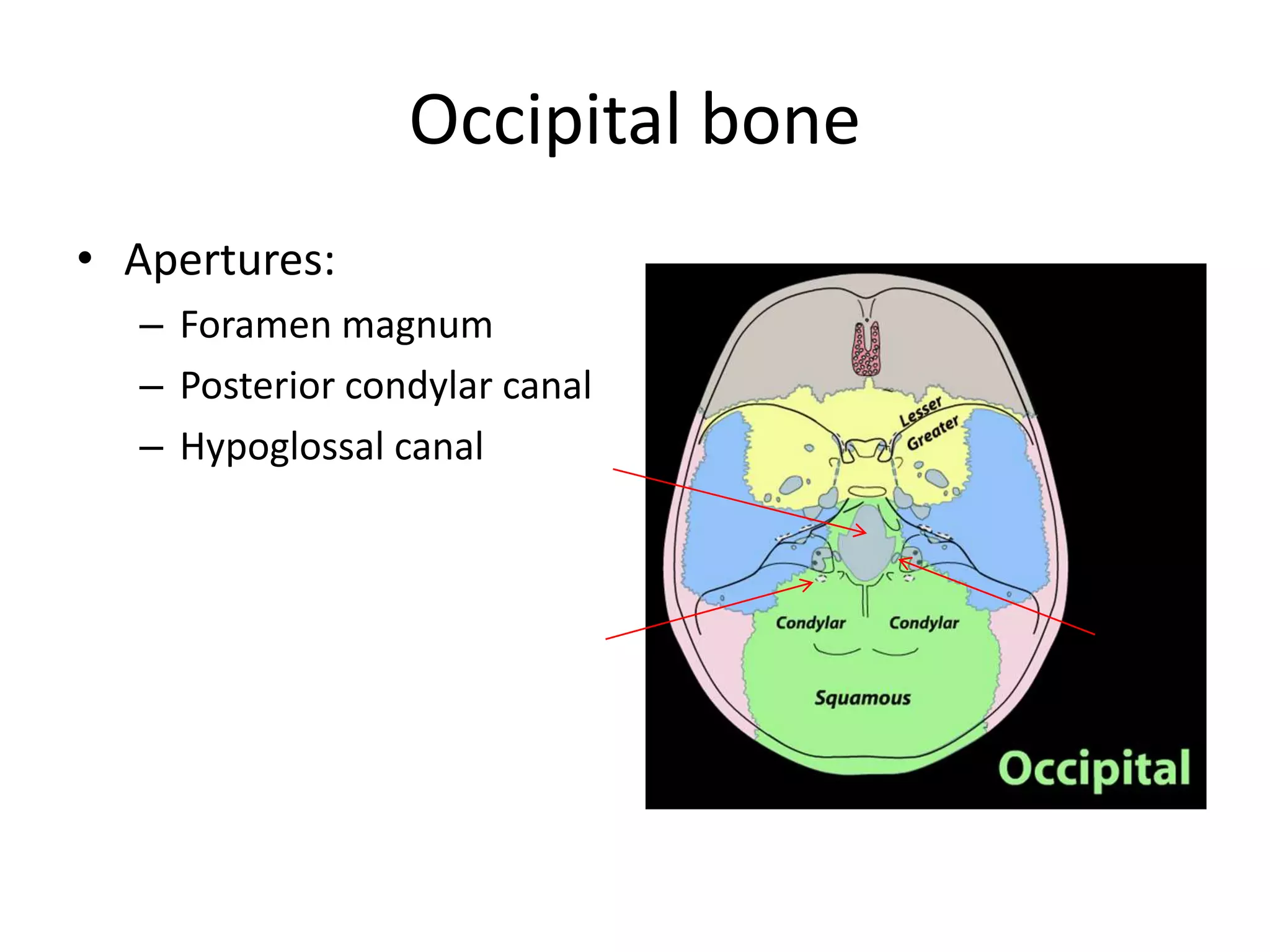 Imaging in Skull base | PPTX