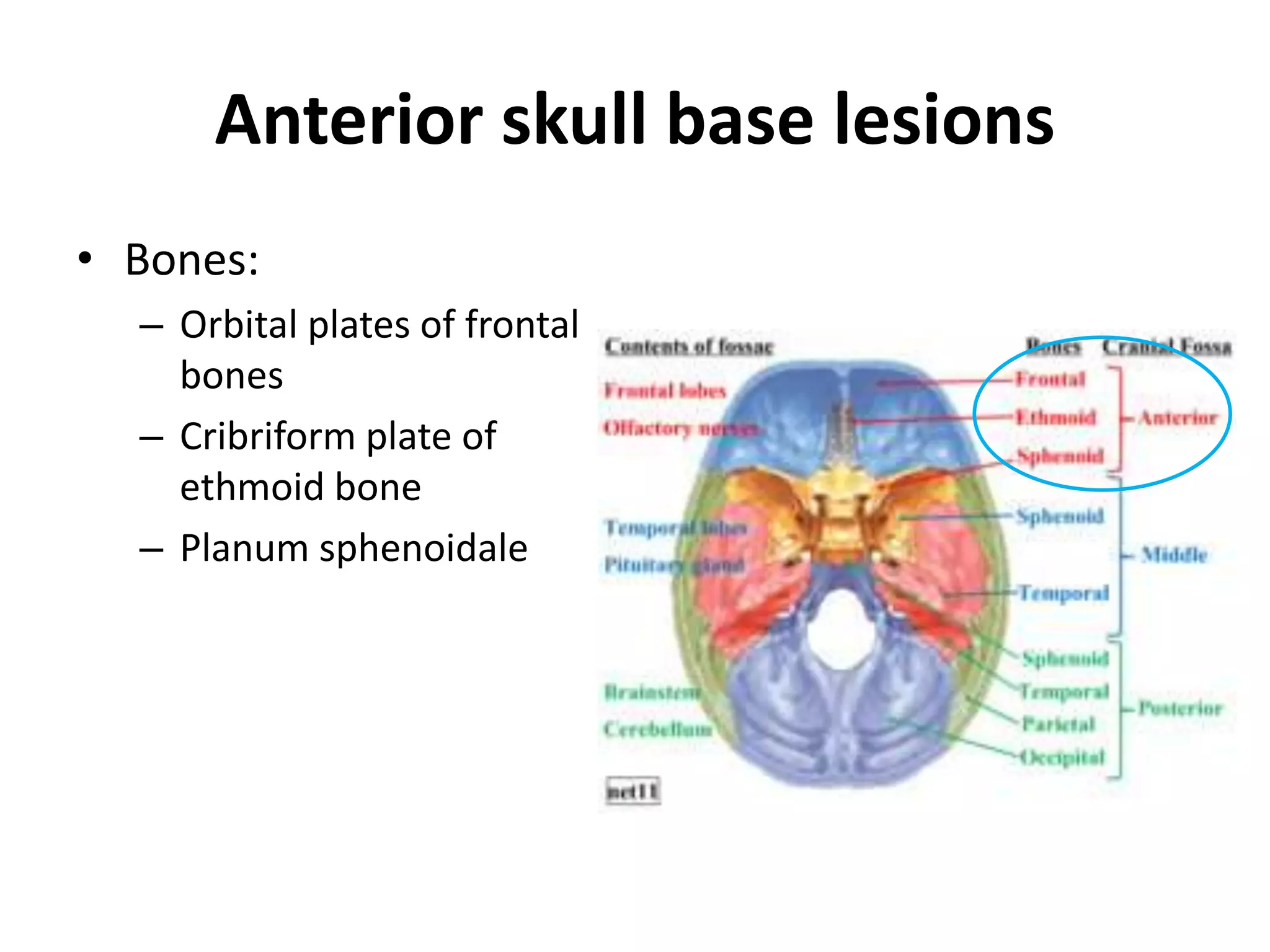 Imaging in Skull base | PPTX
