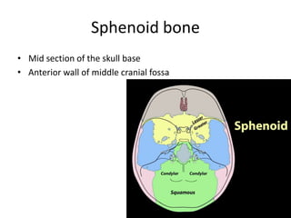 Imaging in Skull base | PPTX