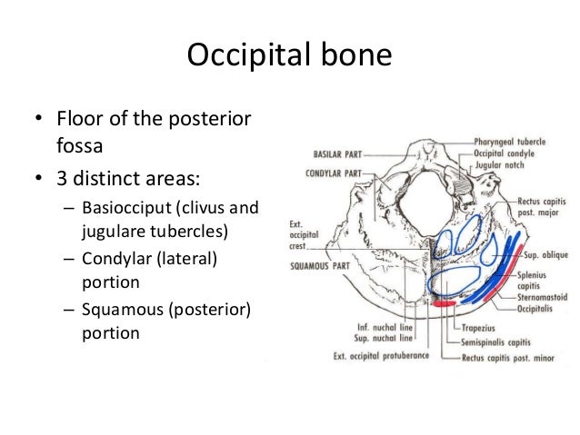 Imaging in Skull base