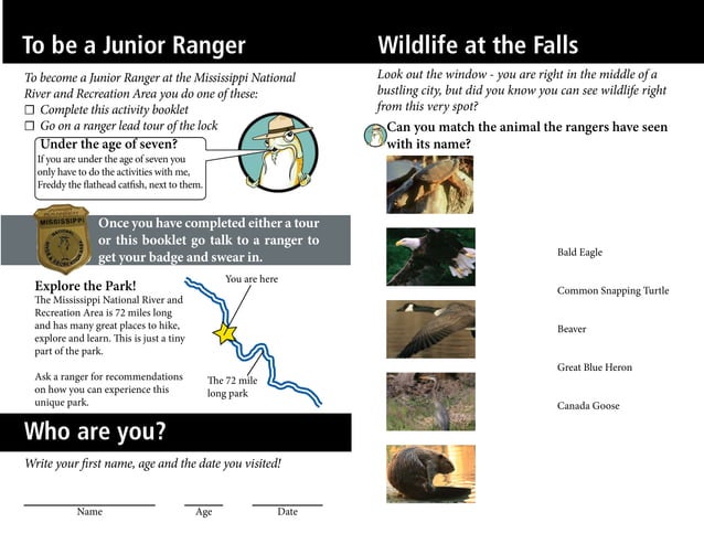 Final Junior RAnger Book SAF (1) | PDF