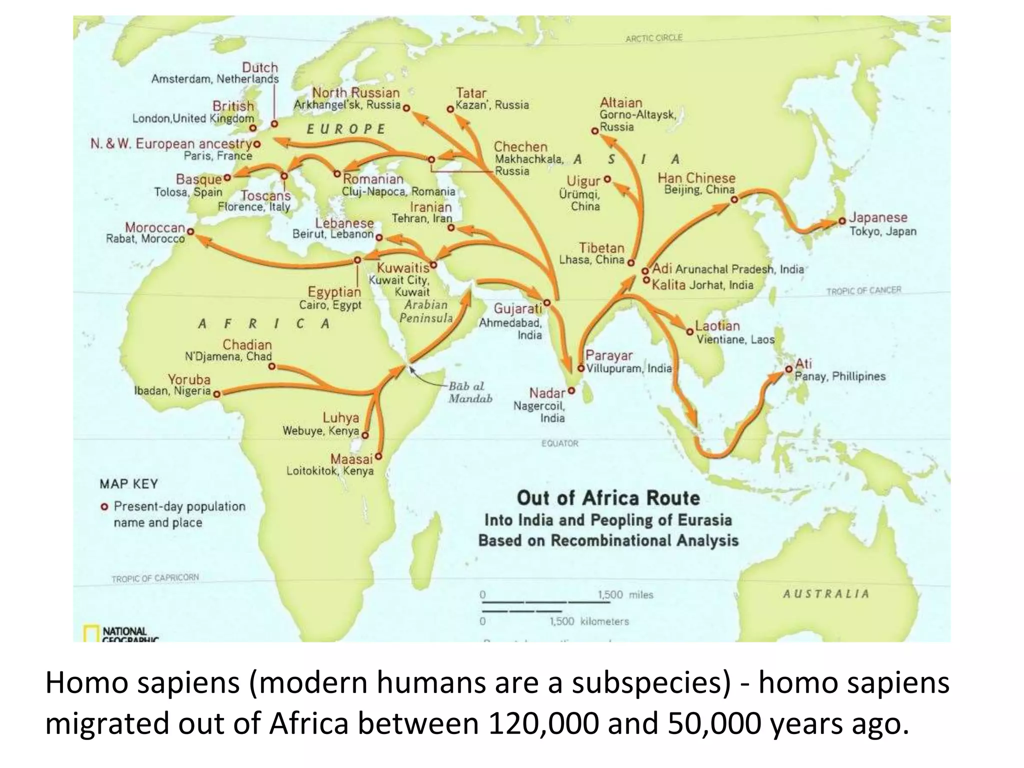 AP Art History Global Prehistory | PPTX | Geology | Science
