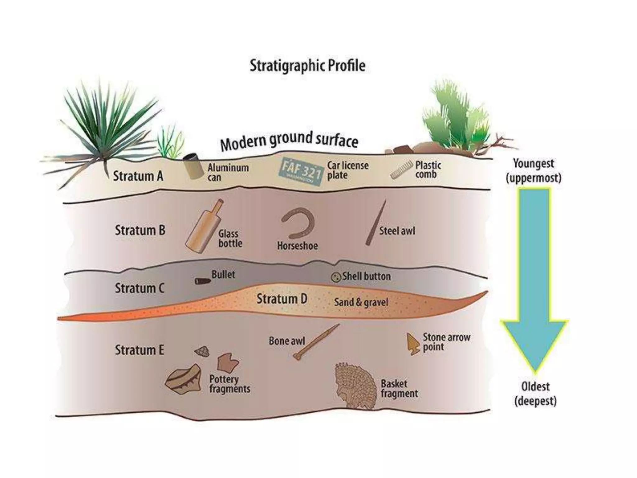 AP Art History Global Prehistory | PPTX