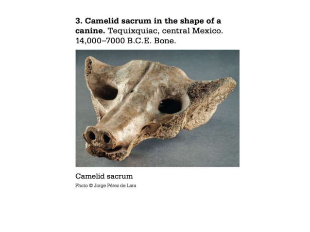 AP Art History Global Prehistory | PPTX | Geology | Science