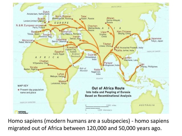AP Art History Global Prehistory | PPTX | Geology | Science