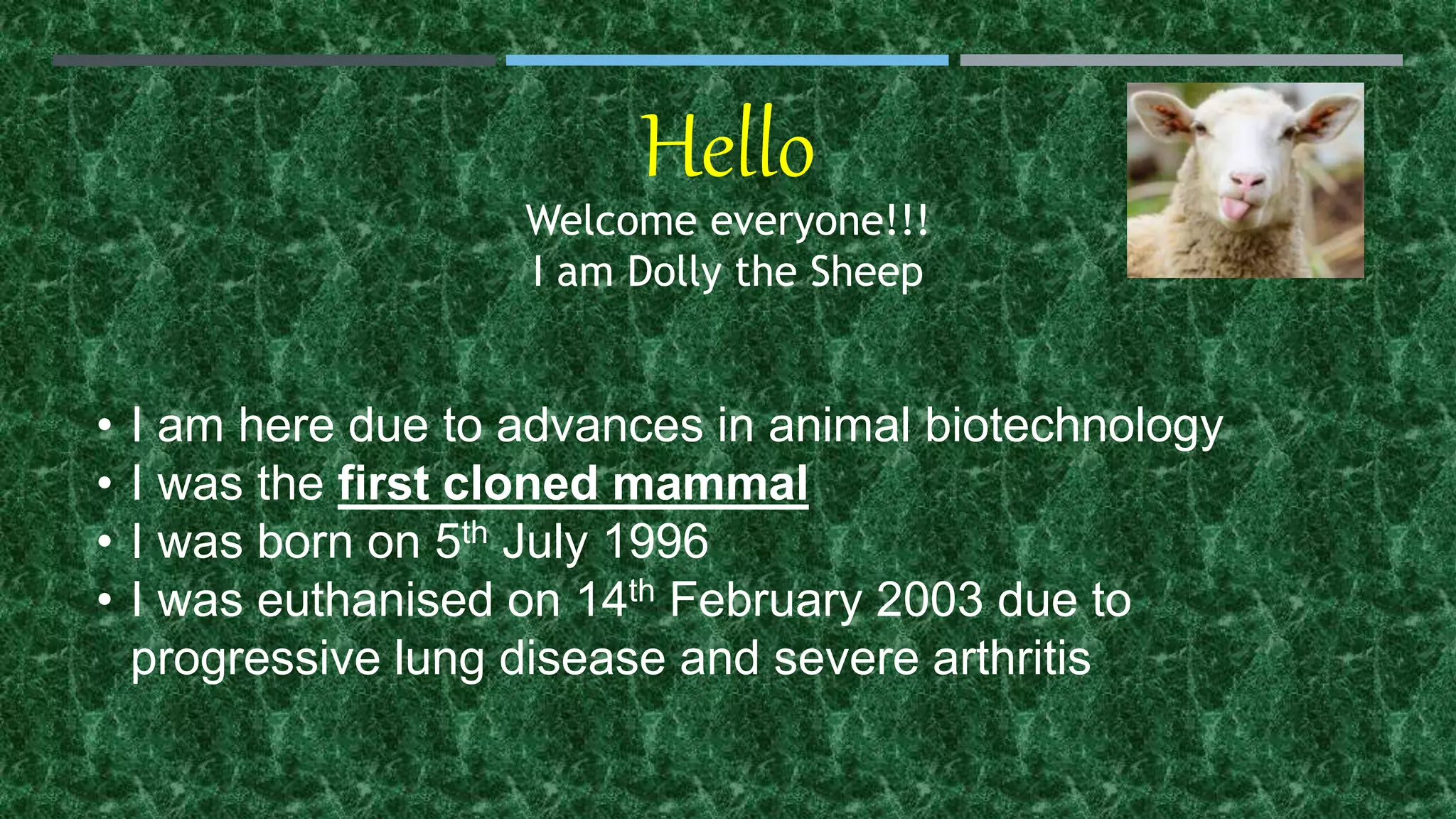 Dolly the Sheep | PPT
