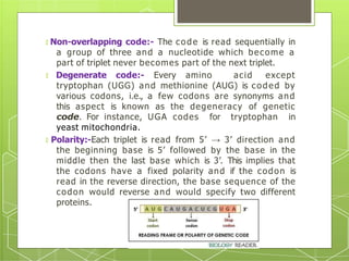 CA1 samlpe copy.pptx