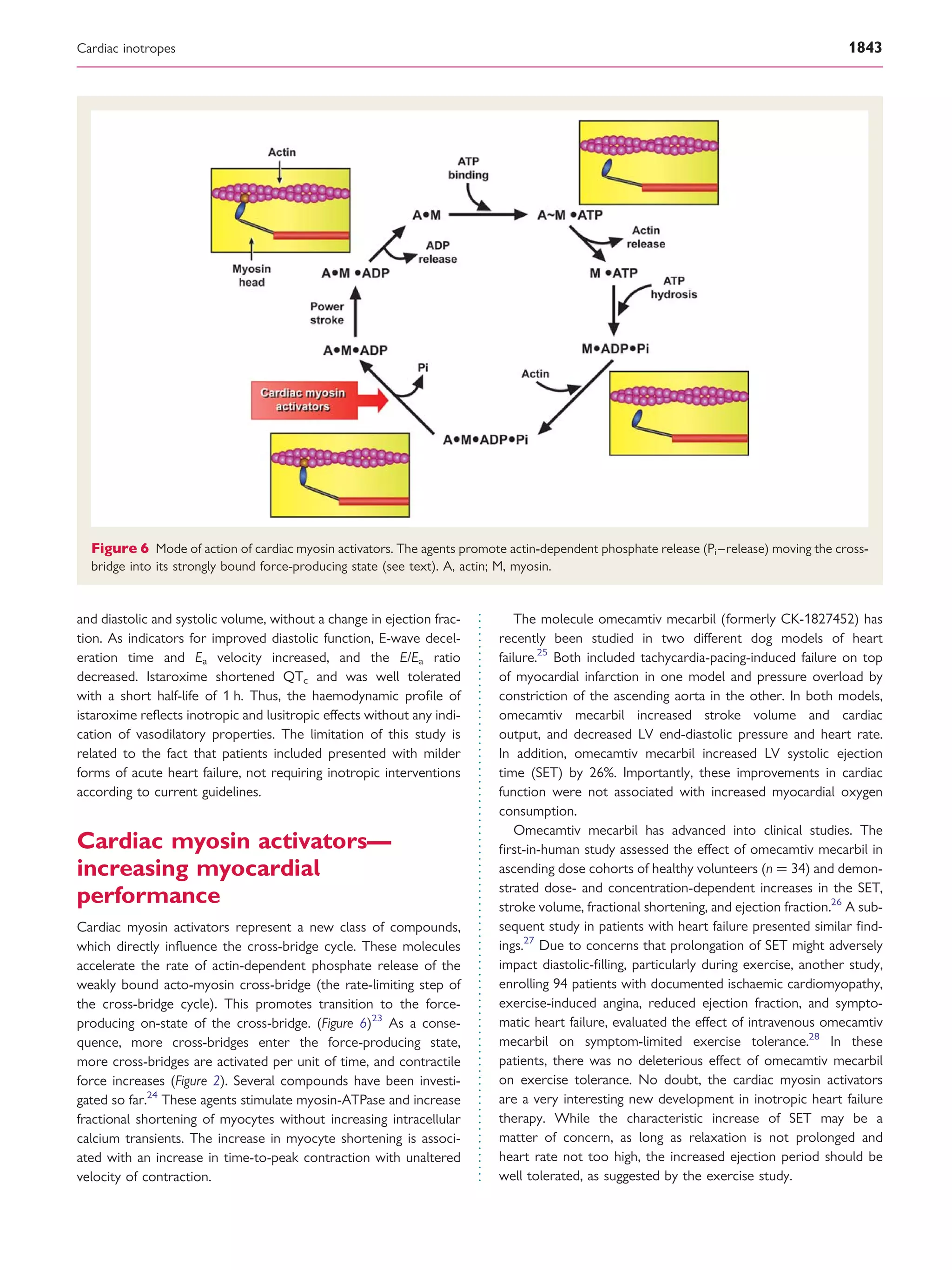 Cardiac Inotropes : Current Agent and Future Directions | PDF