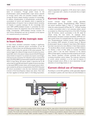 Cardiac Inotropes : Current Agent and Future Directions | PDF