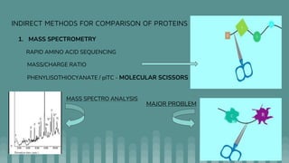 Amino acid sequencing | PPTX
