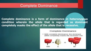 gene ation in plants | PPTX