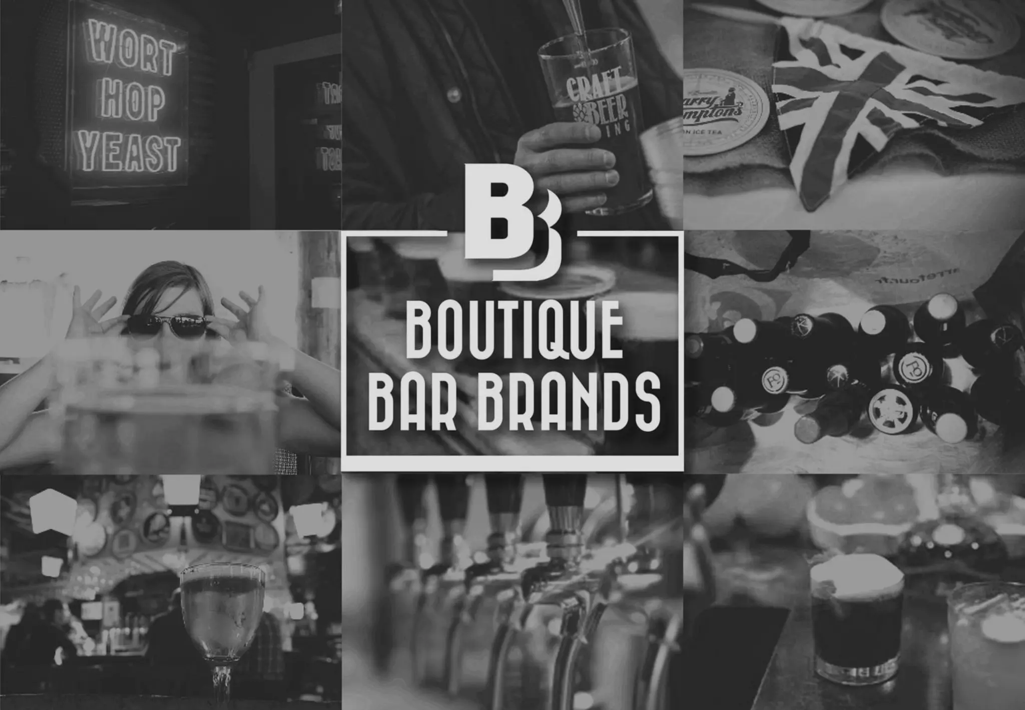 BBB - Presentation PDF 2017 | PPT