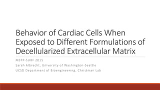MSTP SURF Presentation | PPT