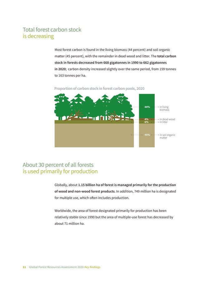 A fresh perspective Global Forest Resources Assessment 2020 | PDF