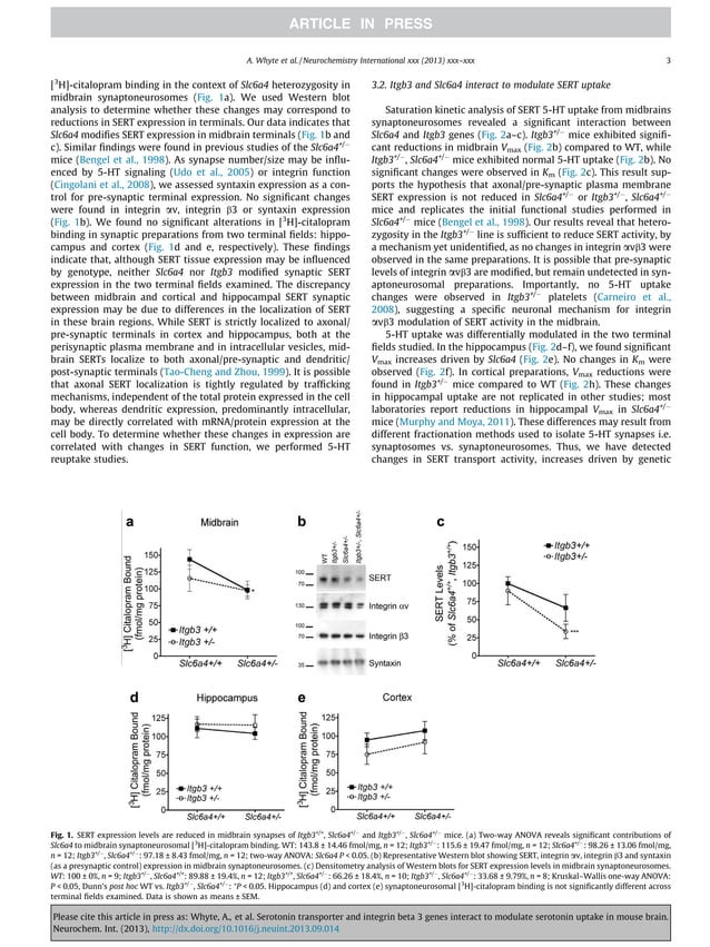 Whyte_2013 | PDF | Brain and Nervous System Disorders | Diseases and ...