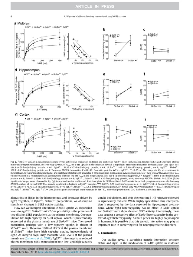 Whyte_2013 | PDF | Brain and Nervous System Disorders | Diseases and ...