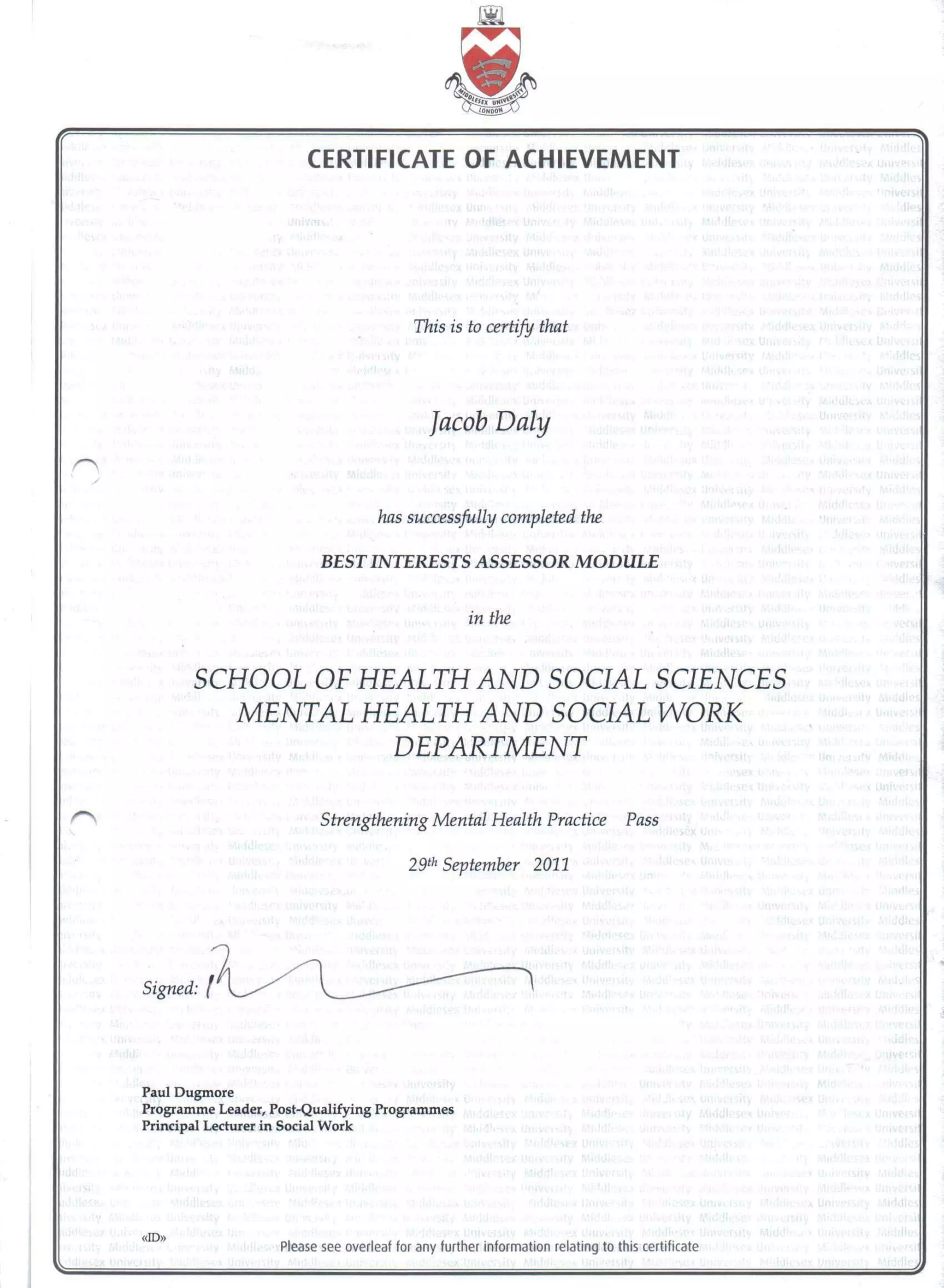 Best Interest Assessor | PDF