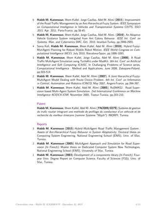 cv_habib_kammoun | PDF | Technology & Computing