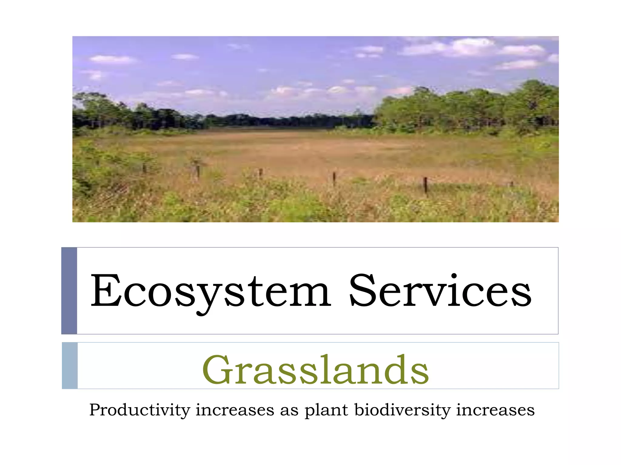 Ecosystem Services | PPT | Free Download