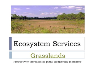 Ecosystem Services | PPT | Free Download
