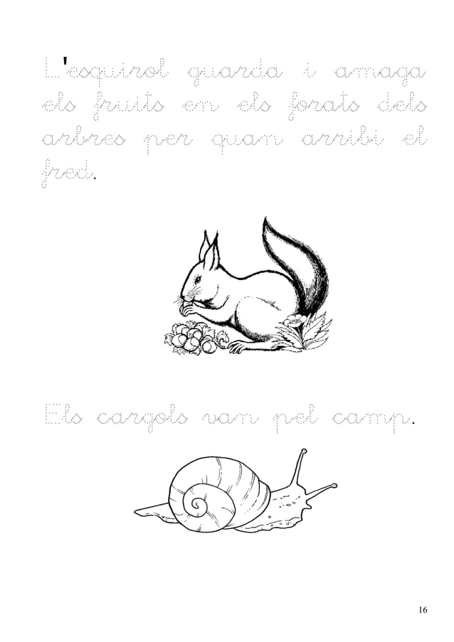 Caaco act 1213_mt019_r1_dossier_tardor_inicial | PDF