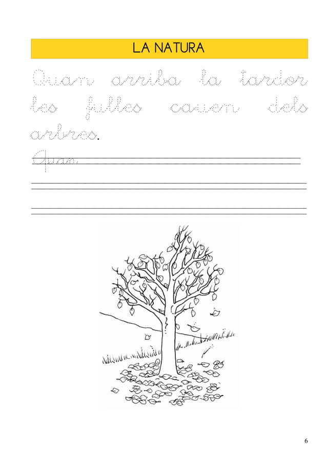 Caaco act 1213_mt019_r1_dossier_tardor_inicial | PDF