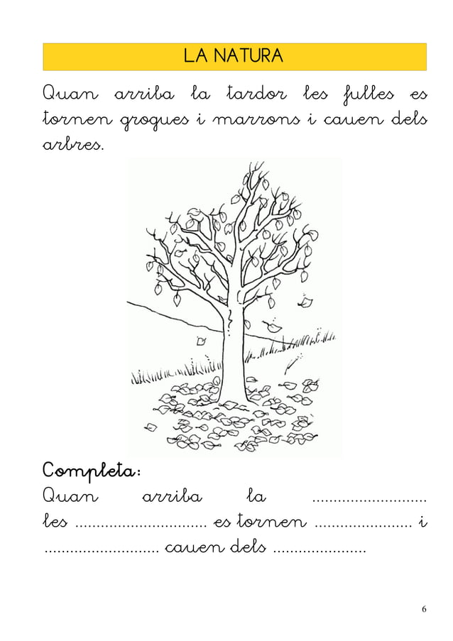 Caaco act 1213_mt019_r1_dossier_tardor_inicial_mig_ | PDF