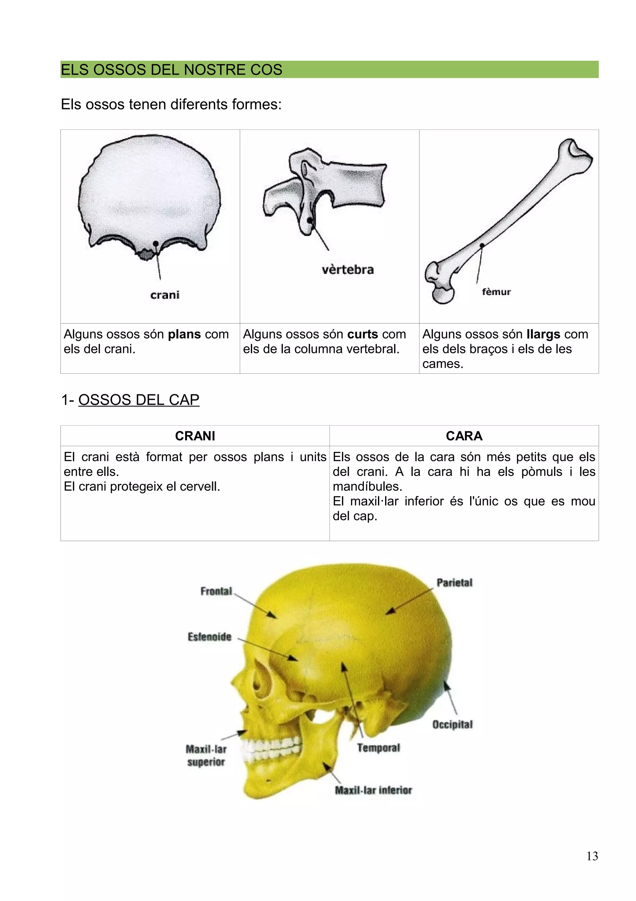 Caaco dos 1213_mt061_r1_aparell_locomotor | PDF
