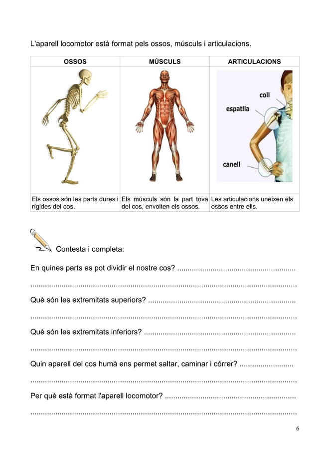 Caaco dos 1213_mt061_r1_aparell_locomotor