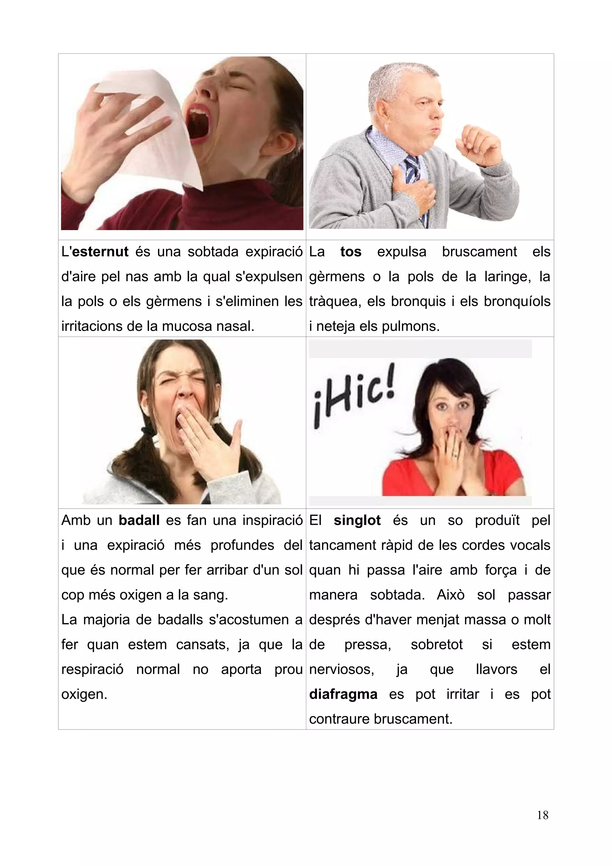 Caaco dos 1415_mt132_r1_aparell_respiratori | PDF