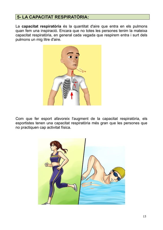 Caaco dos 1415_mt132_r1_aparell_respiratori | PDF