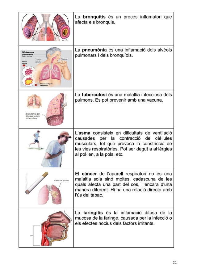 Caaco dos 1415_mt132_r1_aparell_respiratori | PDF